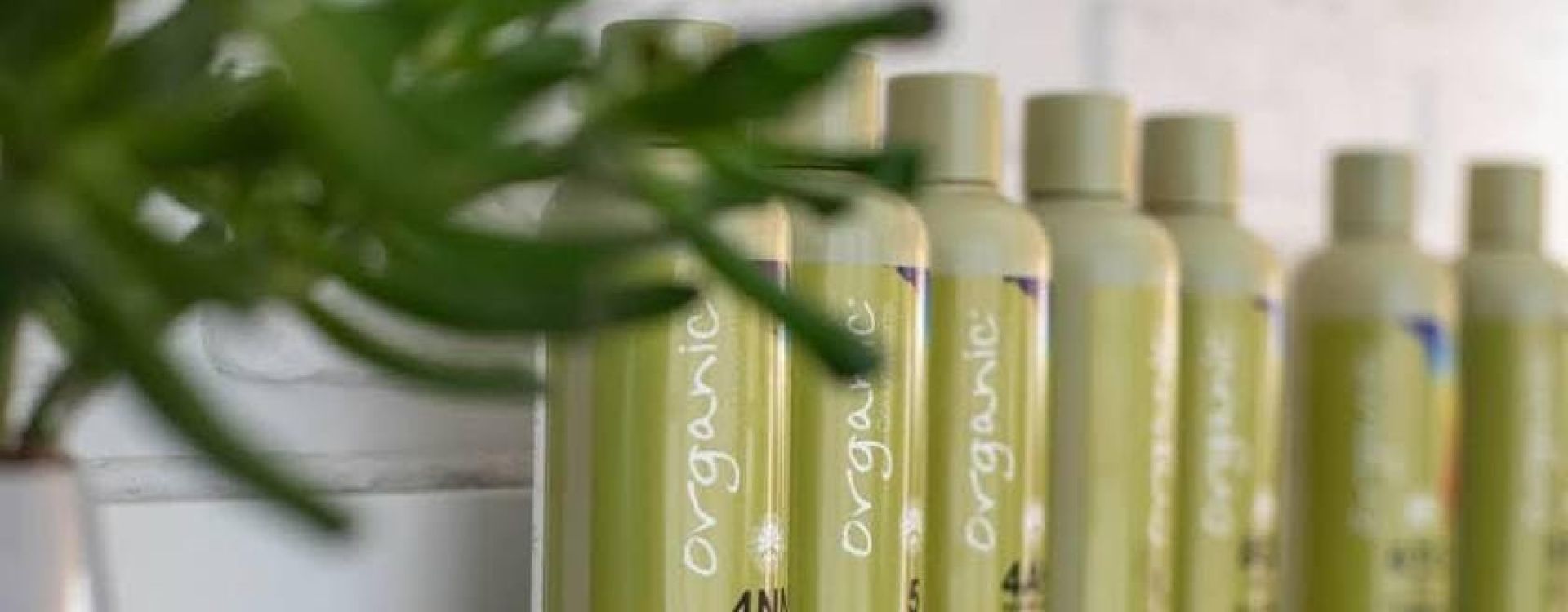 Organic Bonita Studio